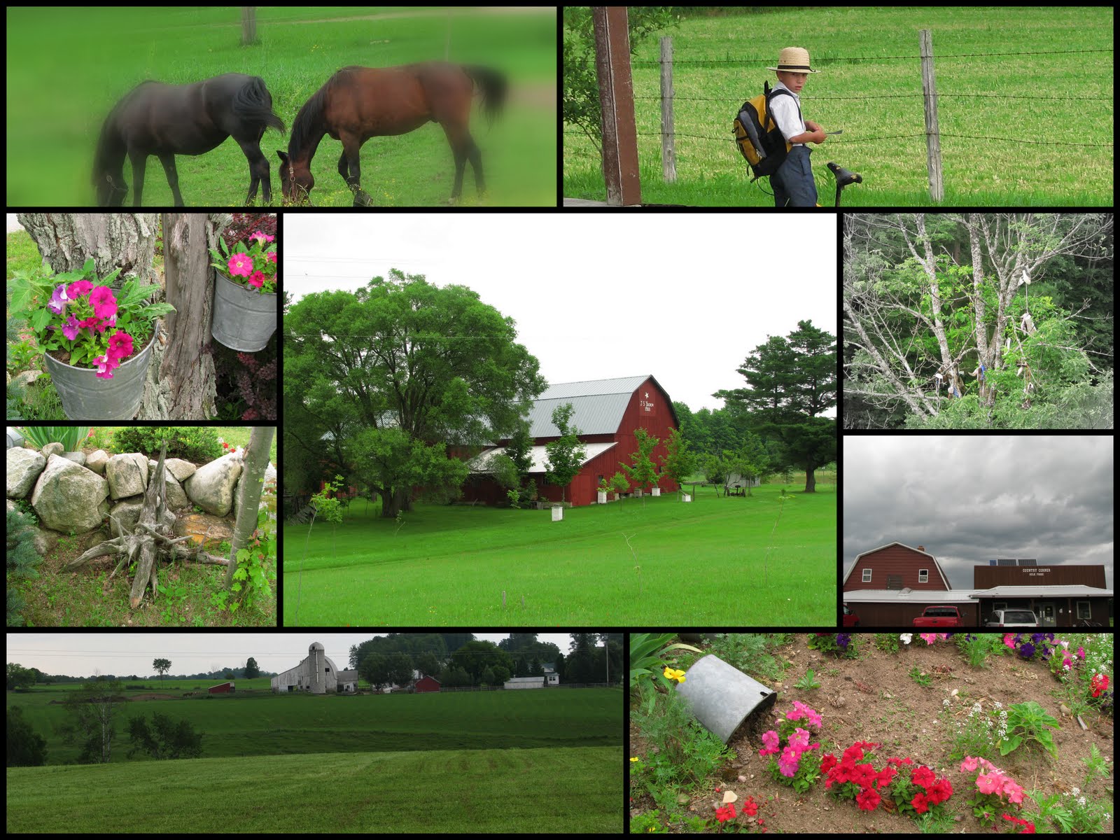 PL Fallin Photography: Amish Community in Mio, Michigan