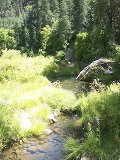 Odysseys, Oddities and Orations: A quick trip to Clints Well, Arizona