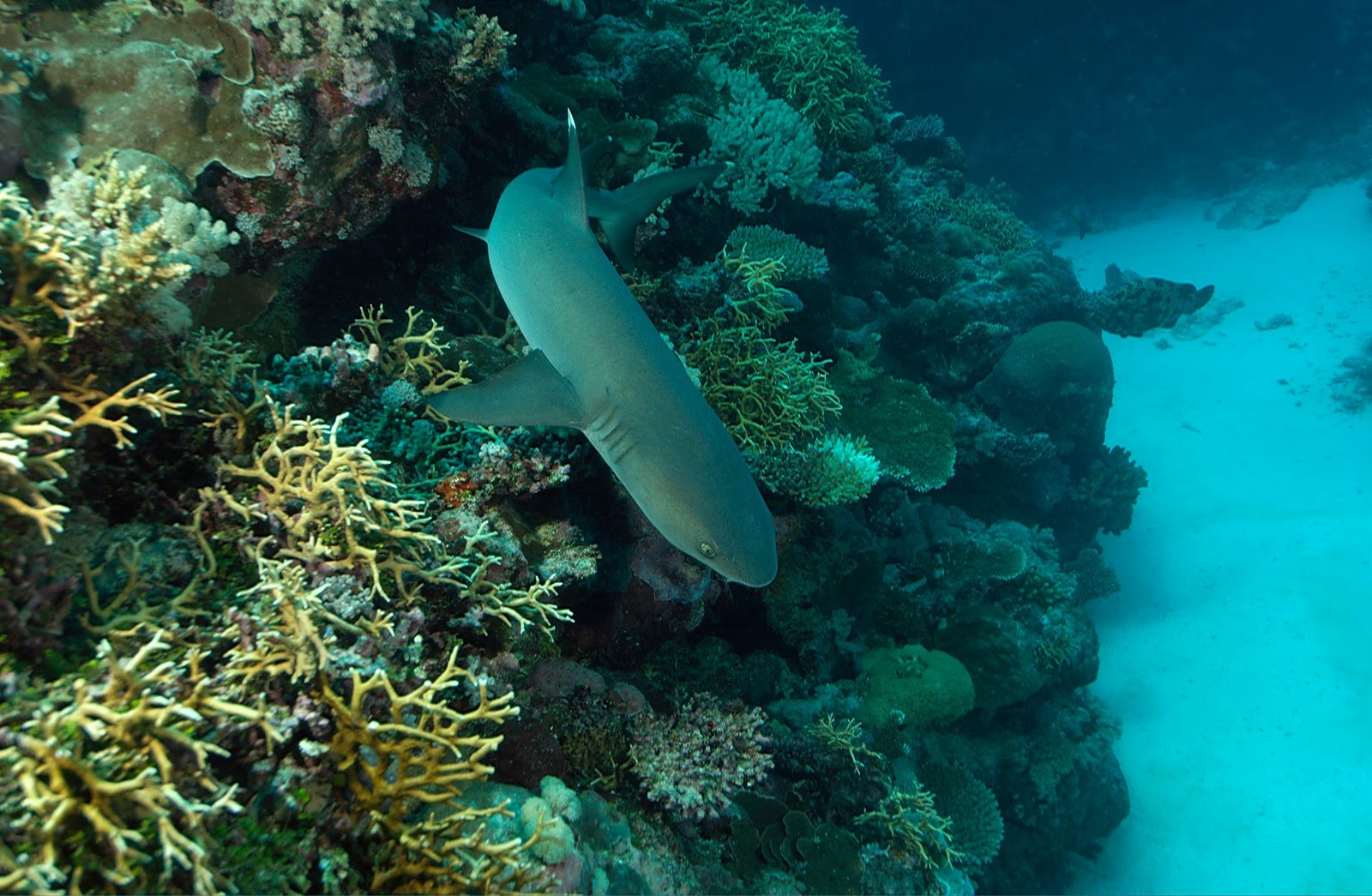 Stumpy's Blog: September 2010