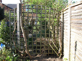 BugBlog: A new bee post