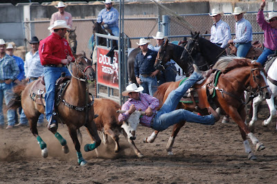 Benjamin's Photography: Lynden Pro Rodeo.
