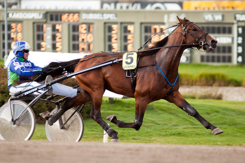 american trotter: american trote rio de janeiro