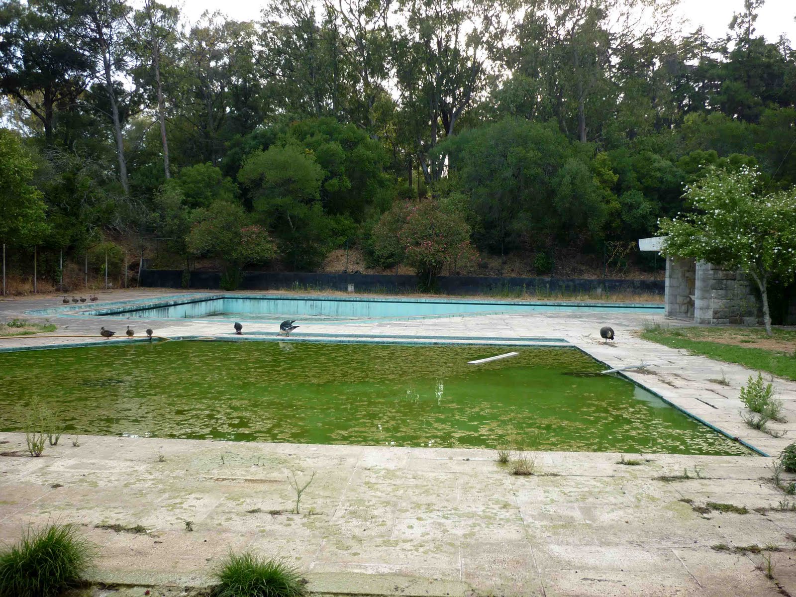 LISBOA S.O.S.: Piscina Infantil do Parque Recreativo de Alvito