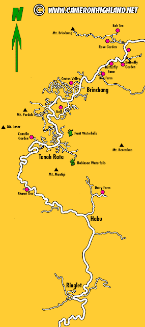 malaysia 旅游胜地: cameron highland