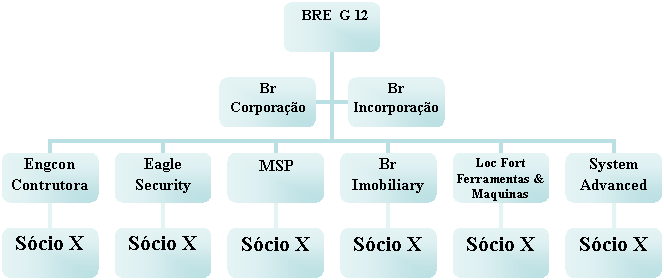 GBRE S.A ®: Organograma / GBRE S/A.