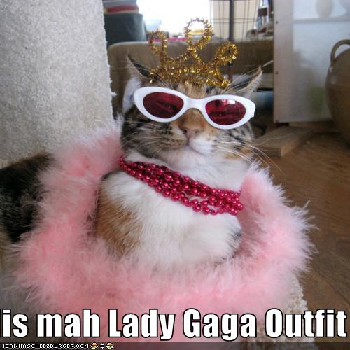 Thinking Pink: Top Five LOL Cats of the Day