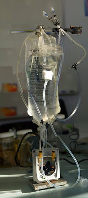 Laboratory Projects: Bioreactor-in-progress...