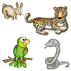 GEOGRAFIA DE QUINTANA ROO: FAUNA DE QUINTANA ROO