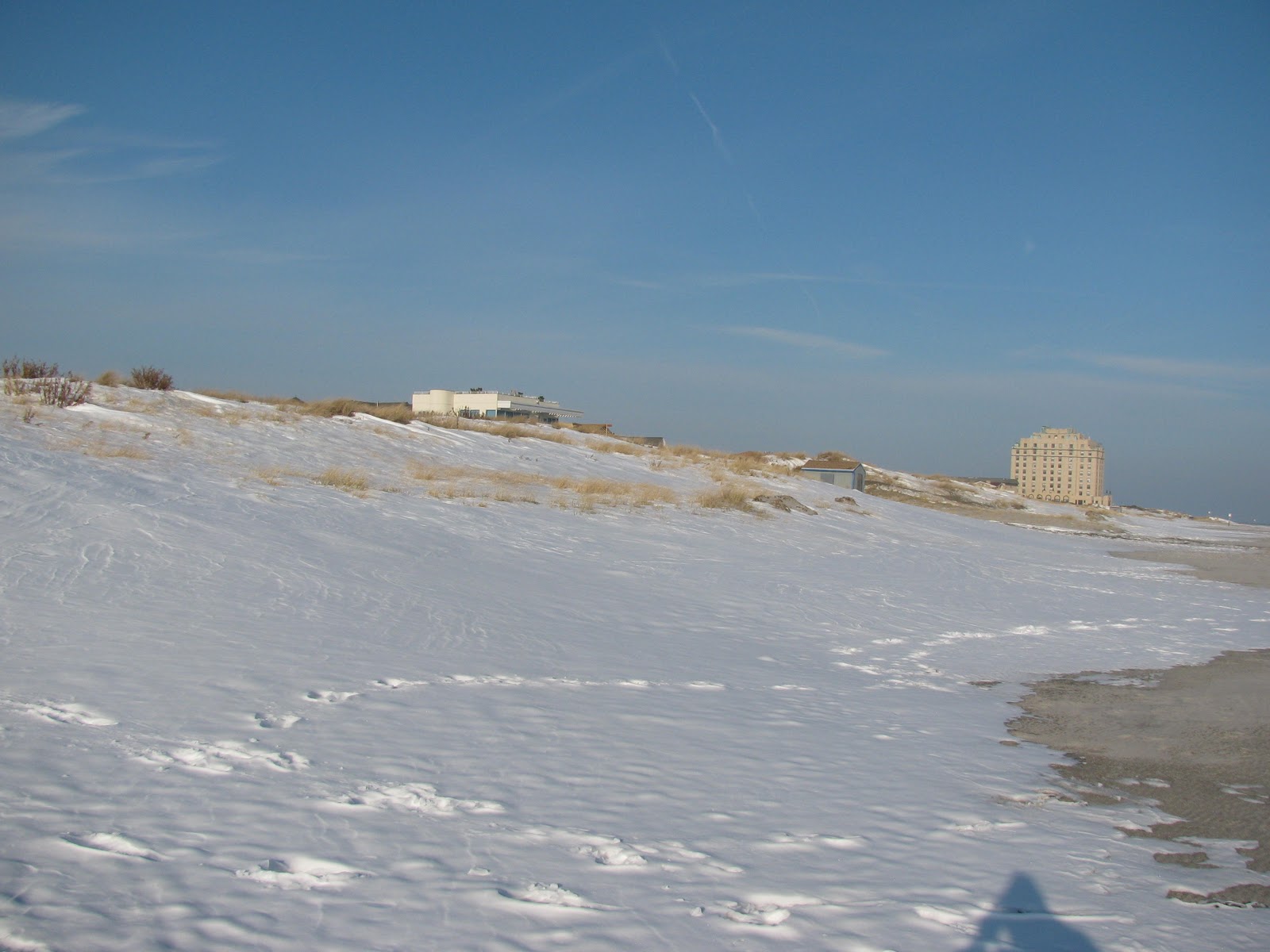 Mid-Atlantic Musings: Opening post: winter at Brigantine, NJ