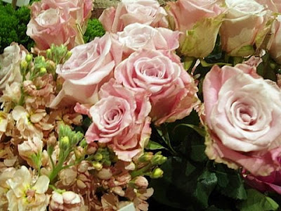 Zuzu's Petals: Faith Roses