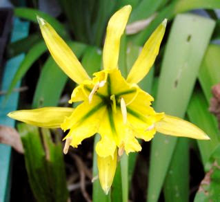 Historia de la humanidad