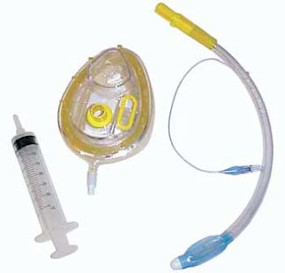 Abueleitor y sus cosas: Los primeros pasos de la emergencia