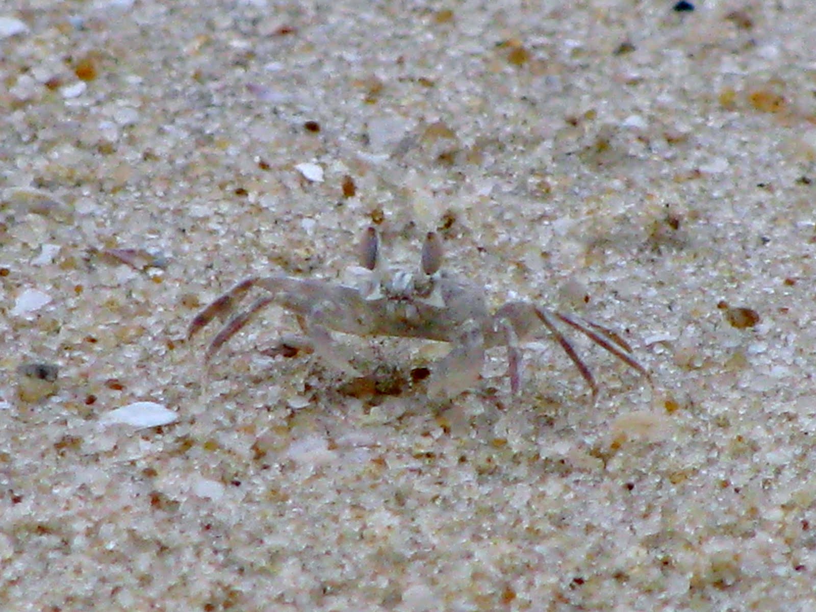 Rachel goes to India: Alleppey Day 2