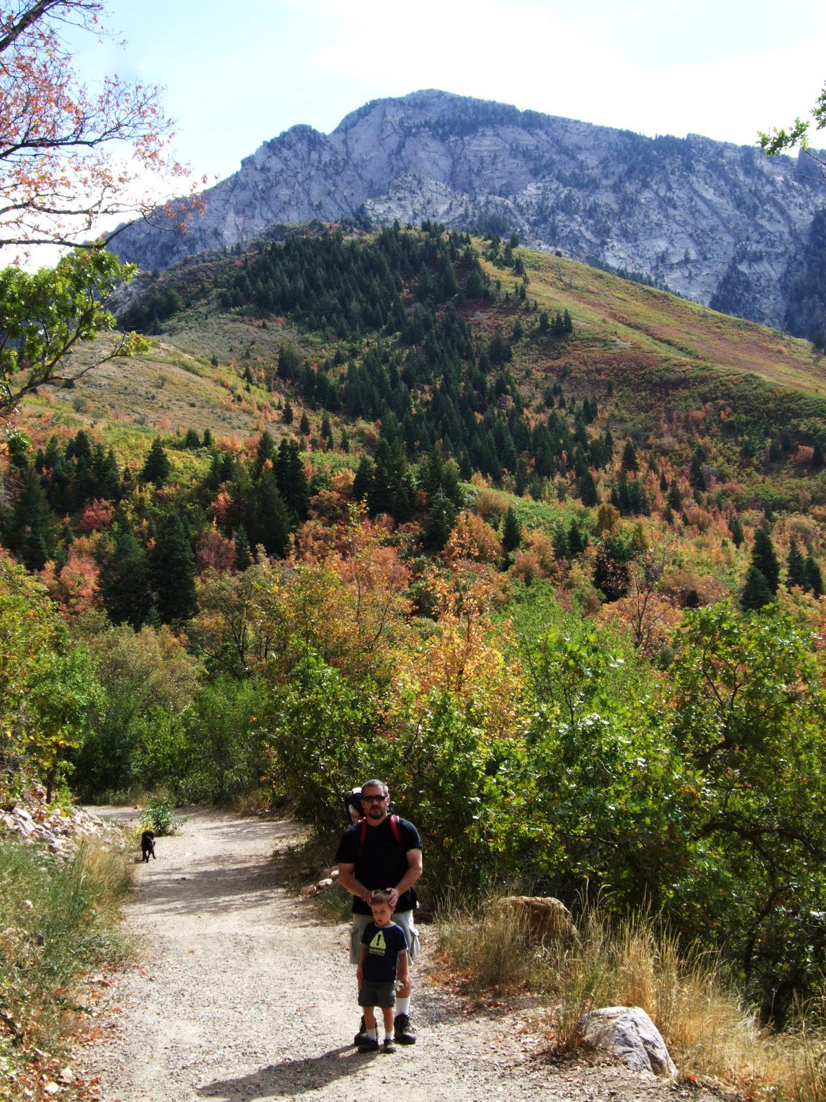 It's the Journey...: Neffs Canyon