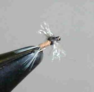 Cast-On-The-Fly: Tricos (Tricorythodes) Mayfiles