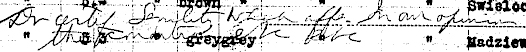 From Little Acorns ...: A Guide to Interpreting Passenger List Annotations From Little Acorns ...: A Guide to Interpreting Passenger List Annotations