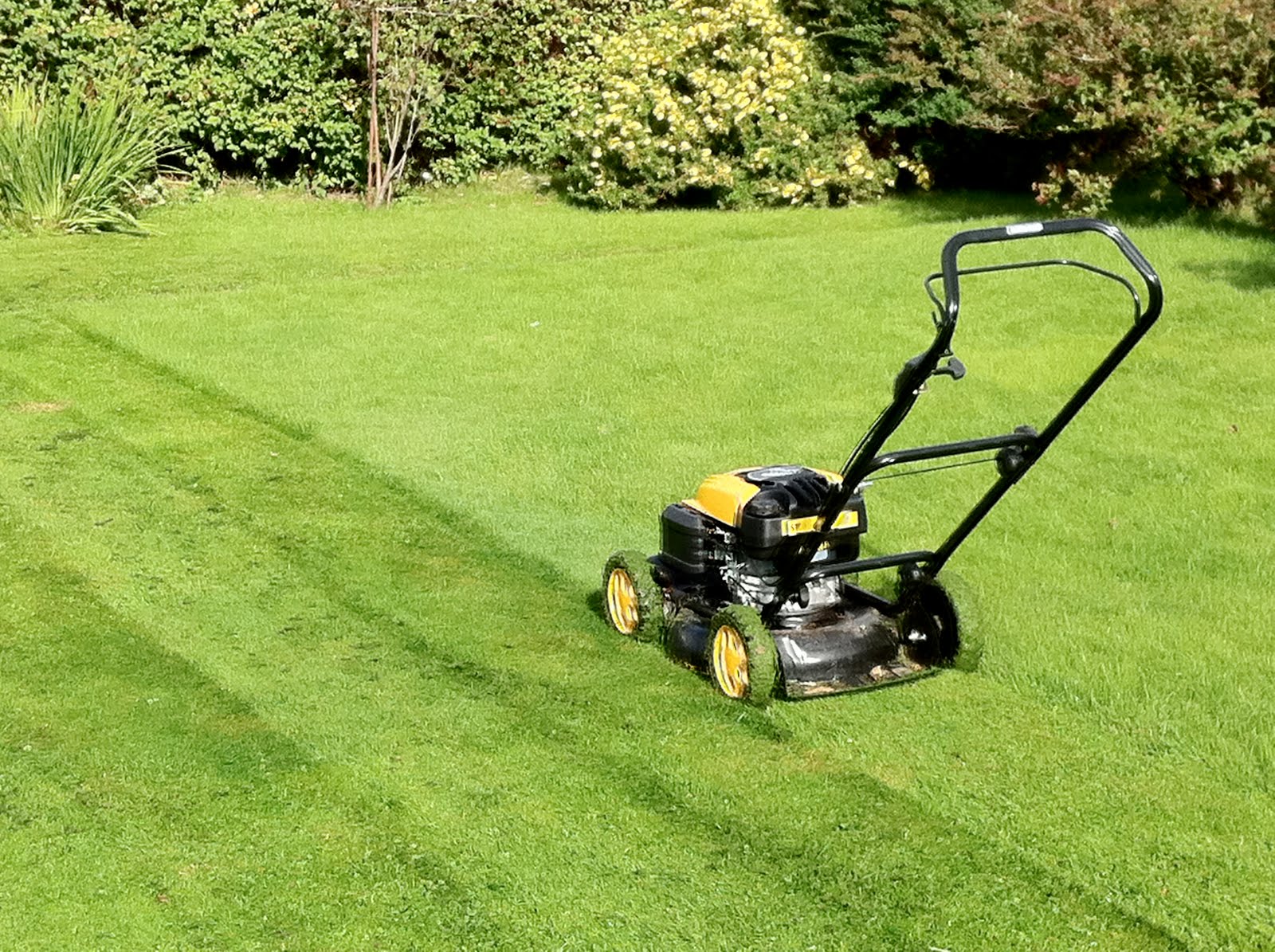 Life Is Great Season Over But Lawn Cutting Still A Must life-is-great-season-over-but-lawn-cutting-still-a-must