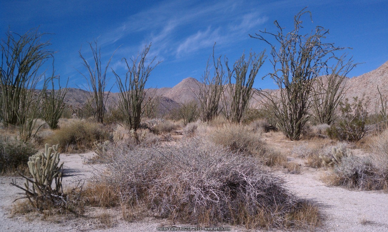 Daren Sefcik: ImageMagick - CLI image manipulation