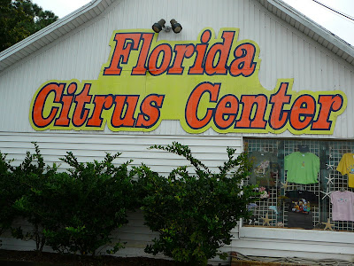 Old Florida: St. Johns County citrus stands