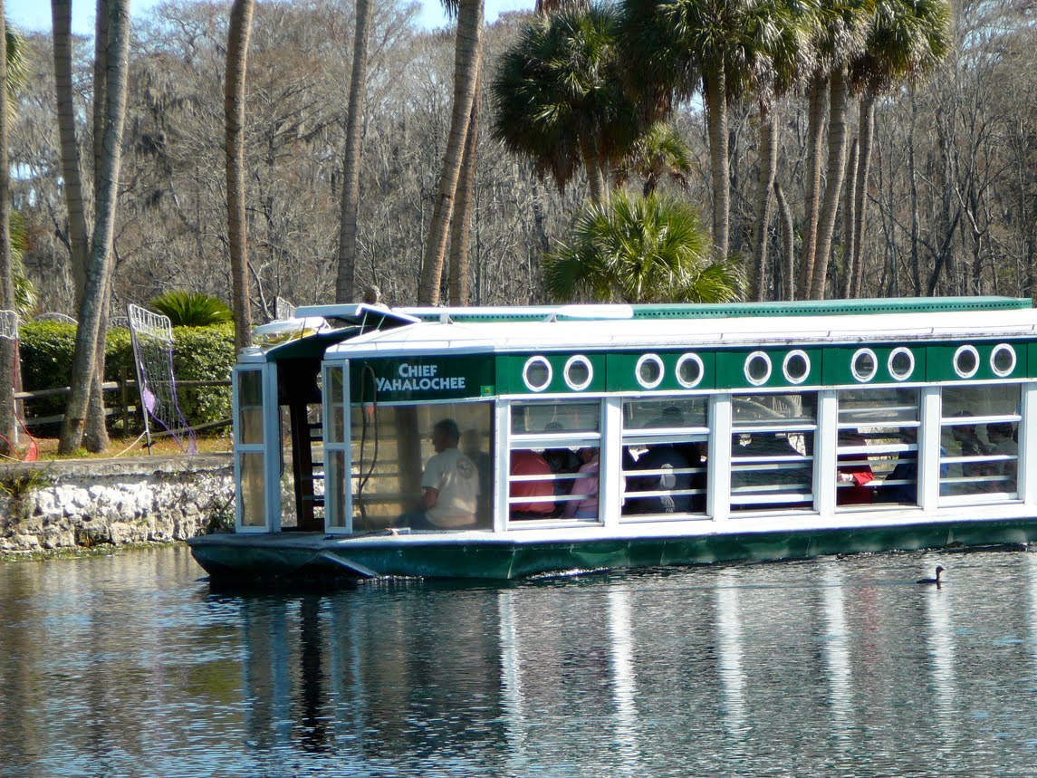 Old Florida: Vintage Silver Springs - Glass bottom boats