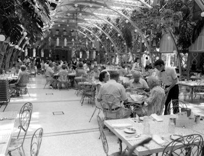 Old Florida: Larger than life: the Kapok Tree Restaurant