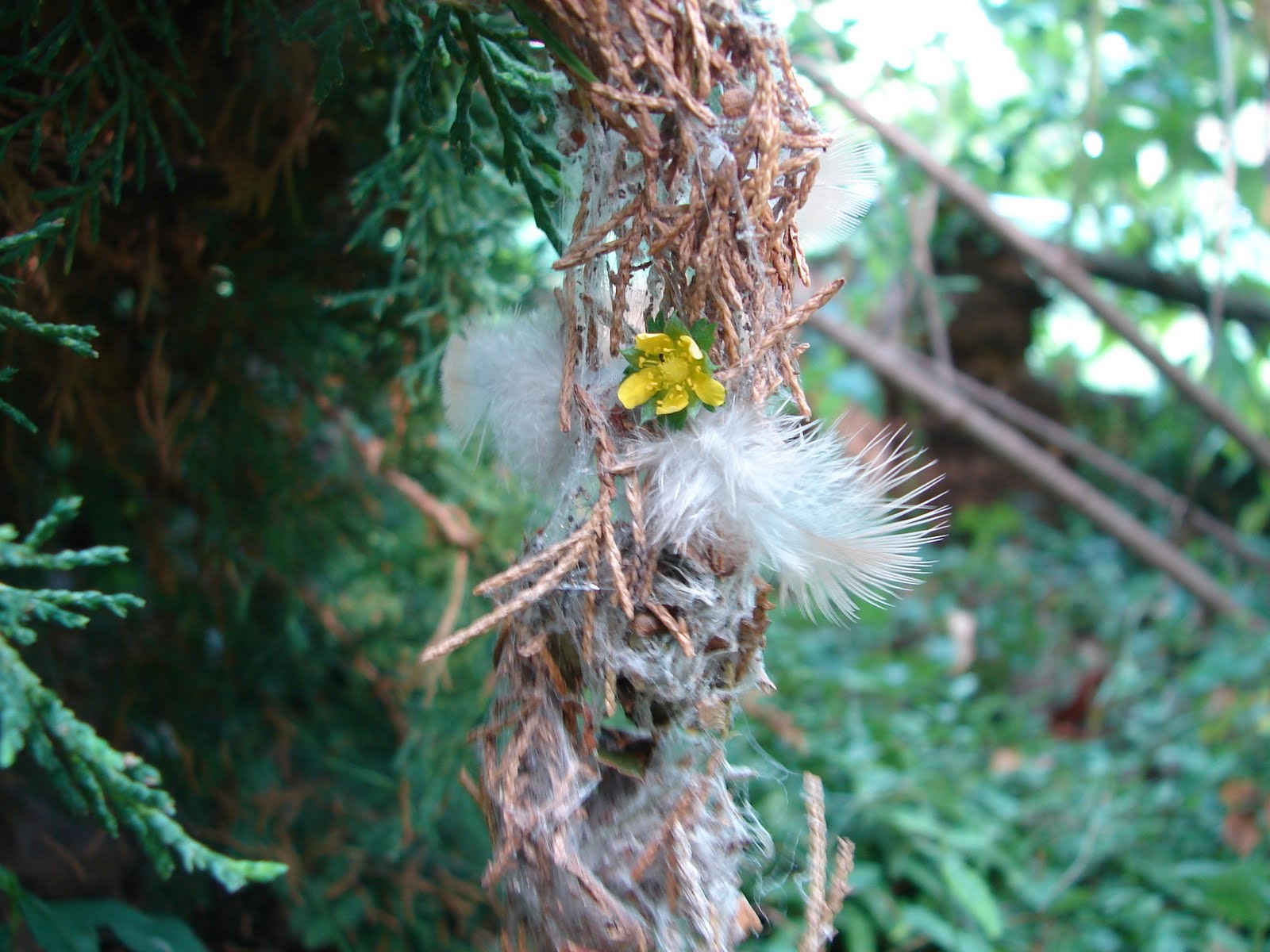 Pictureka!: Nature All Around Me (7) ( The Nature Project)