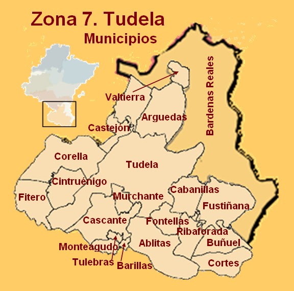 RECORRIENDO NAVARRA: Navarra. Zona 7. Tudela