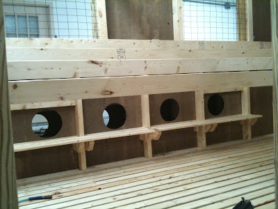 Back Bay Botanicals: Eggmobile - The Great Reveal!