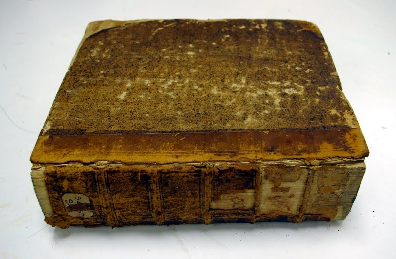 Book in Hand: Leather Reback - Quarter Bound