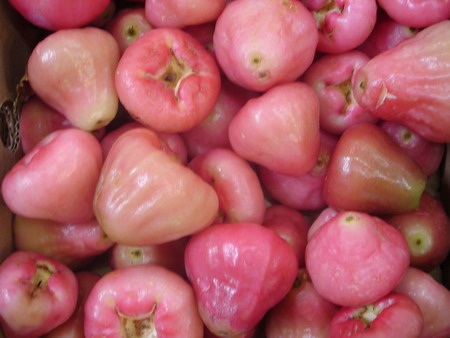 Aqui pra Nós...: Moreno(a) cor de... JAMBO???