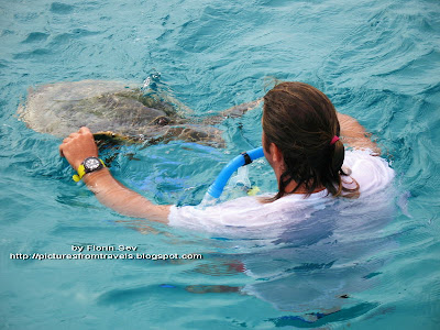 Pictures from Travels: Felicite Island - Seychelles