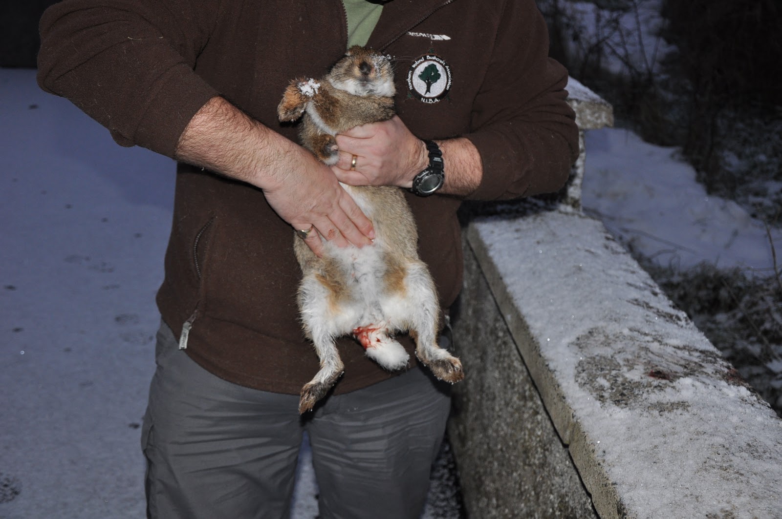 Northern Ireland Bushcraft Association: Rabbits