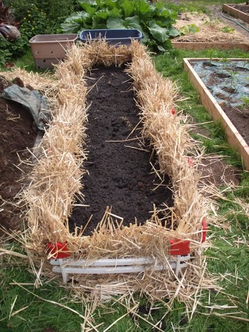 Weekend Gardening Project