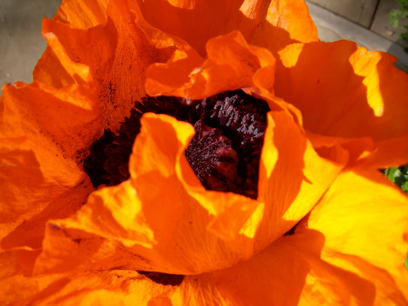 On apprend ensemble: Hourrah! Les vacances d'été arrivent!