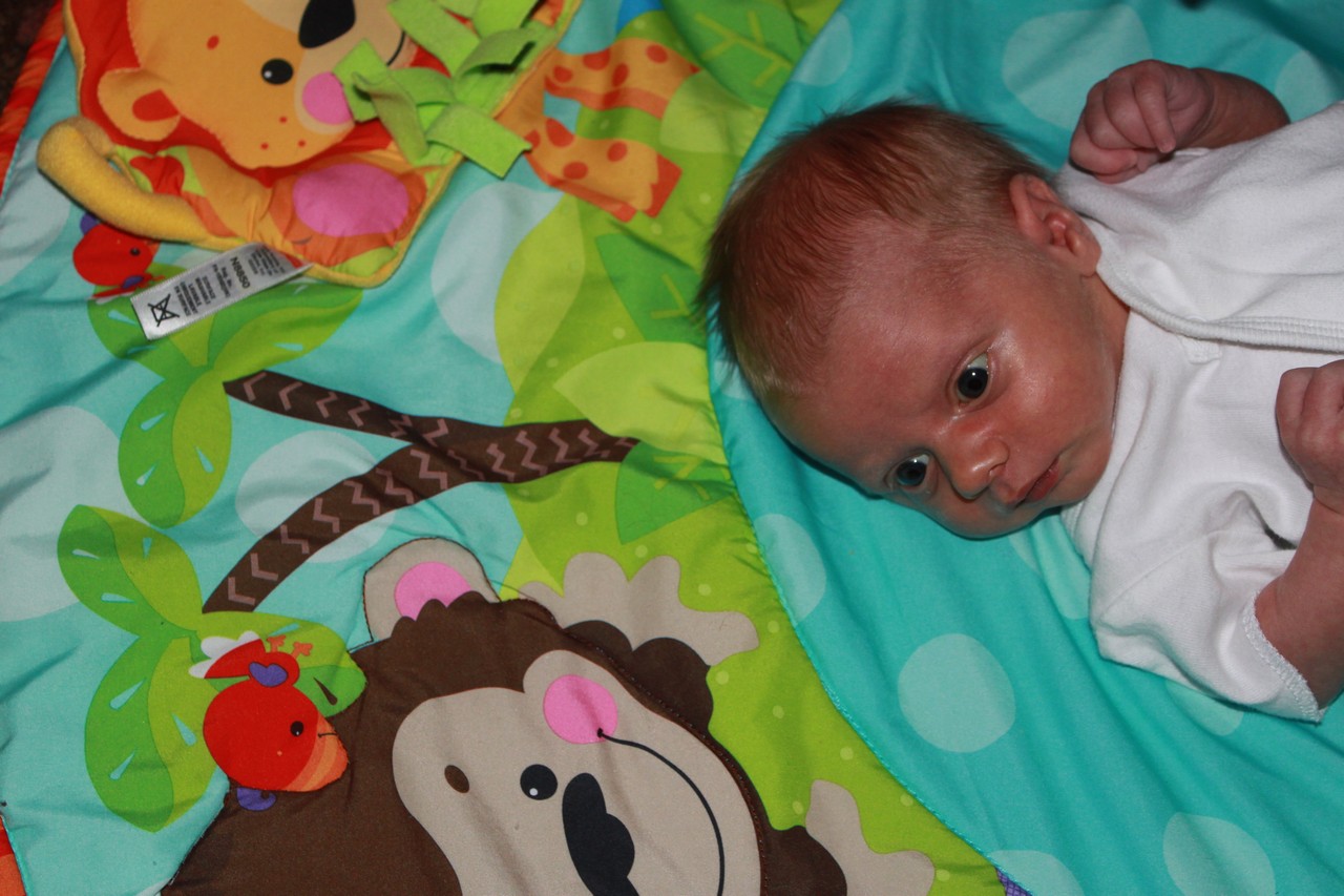 The Fineske Family... and growing