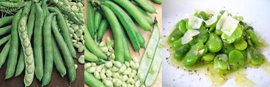 MyWorld: Glucose-6-phosphate dehydrogenase (G6PD) deficiency