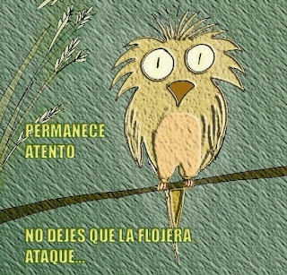 Imagenes de flojera animadas - Imagui