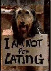 Widening Circle: Buck Bundy