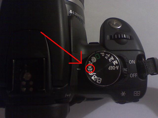 Just Another Girl with a Camera: Mode Dial - Macro Mode