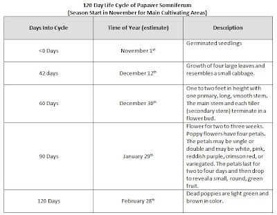 Geog 169: Remote Sensing: Locating Papaver Somniferum, Opium Poppies ...