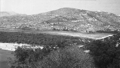 Dünya Harp Tarihi: MARATON SAVAŞI (M.Ö. 490)