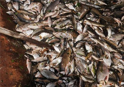 The Astrology of the Hungary Red Sludge Ecological Disaster - UPDATED ...