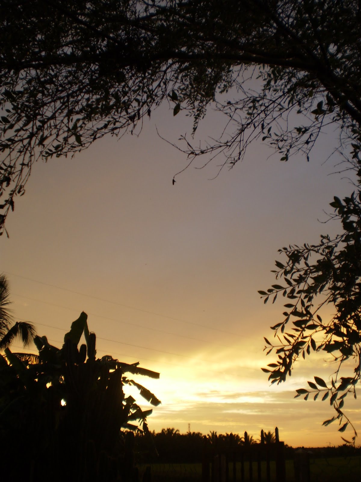 rainbowseven photo blog: Taiping: SAD Sunset - Part 1