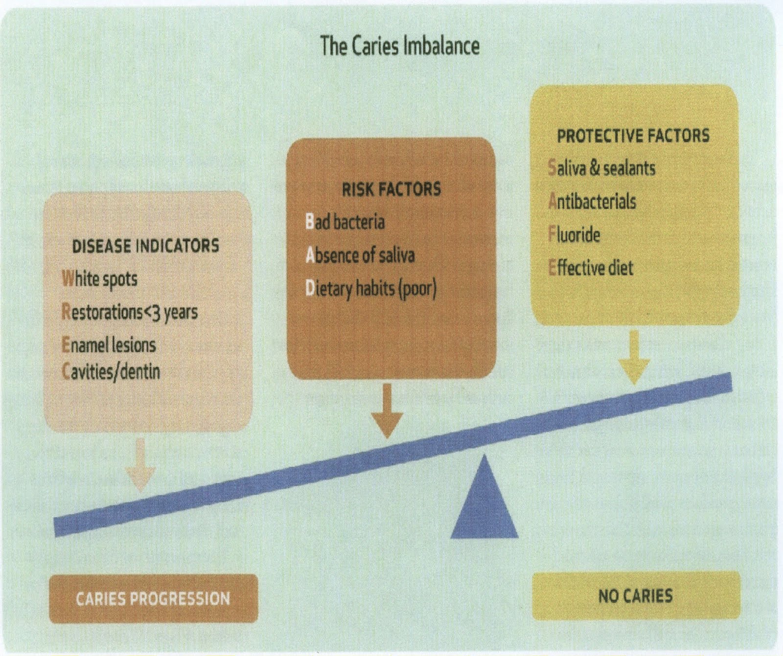 Be Cavity-Free for Life: Understanding CAMBRA, chapter 6 "Caries Imbalance"