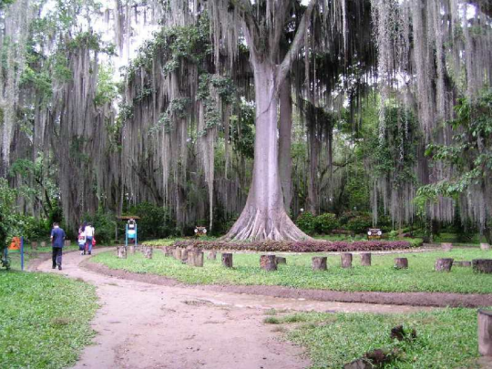 las partes mas lindas de colombia: parque gallineral