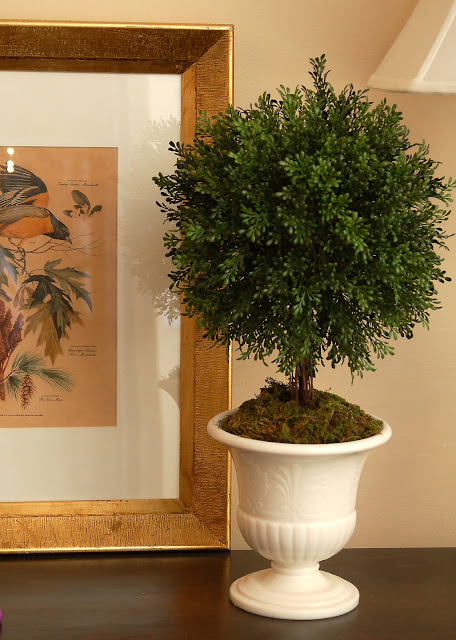 Boxwood Topiary Tutorial | Miss Mustard Seed