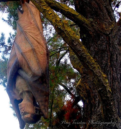 PARANORMAL: Naglelevel- up Din Ba ang mga Engkanto? ni Claudette Faustino