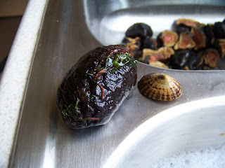 Alaska APN Adventure: Bidarki......or.......Malarkey