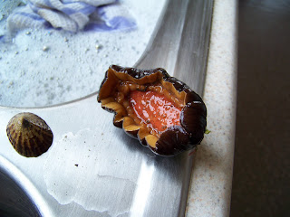 Alaska APN Adventure: Bidarki......or.......Malarkey