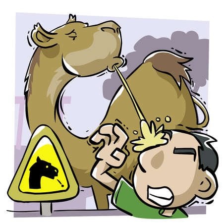 Camel Spitting [ Being Ron ]
